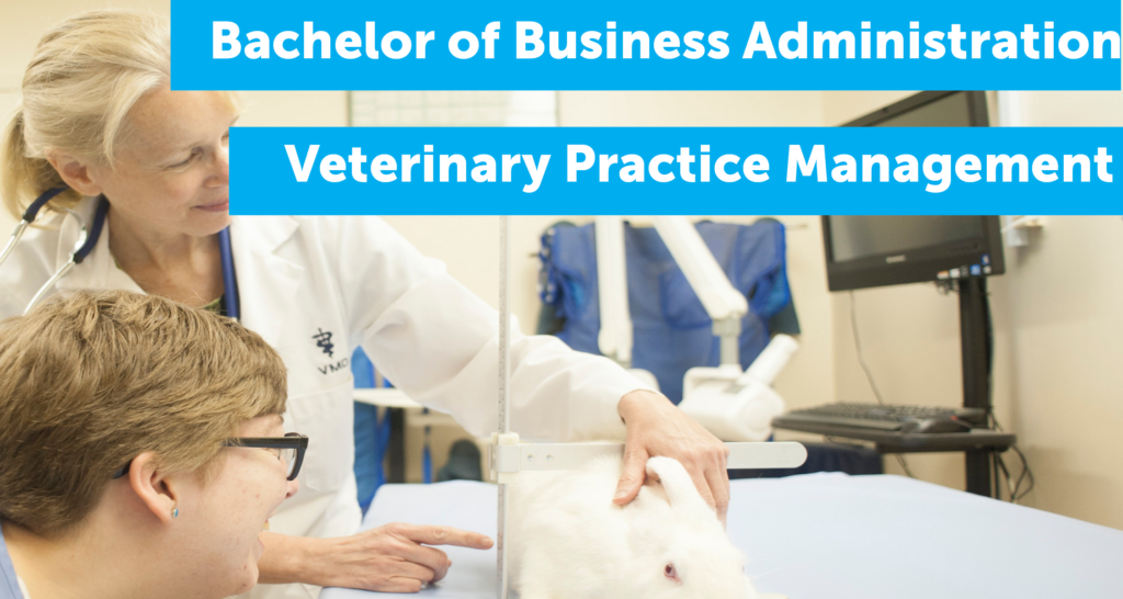Veterinary Practice Management | Manor College